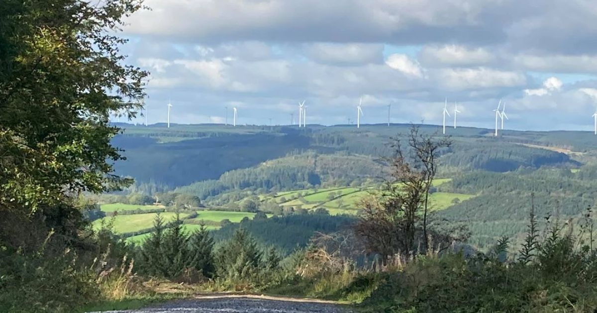 Wind and Water in Brechfa Forest - Ramblers